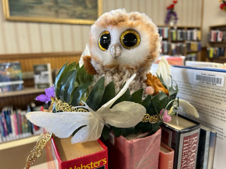 Meet the Mascots: Exploring the Benefits of Library Mascots | Utah ...